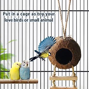 Bird Hides Coconut Nest with Wood Ladder,Syrian Hamster Cage Hanging Natural Coco Shell Hut Hide Toy with Wooden Bridge,Hollow Hideaway Toys for Small Animal Rat Lovebird Finches