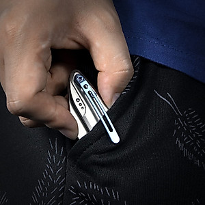 Kubey Barracuda KU299 Pocket Folding Knife, Front Flipper Titanium Folder with 3.38" Swedged Wharncliffe S30V Blade Ideal for EDC Outdoor Hunting and Camping (Gray)