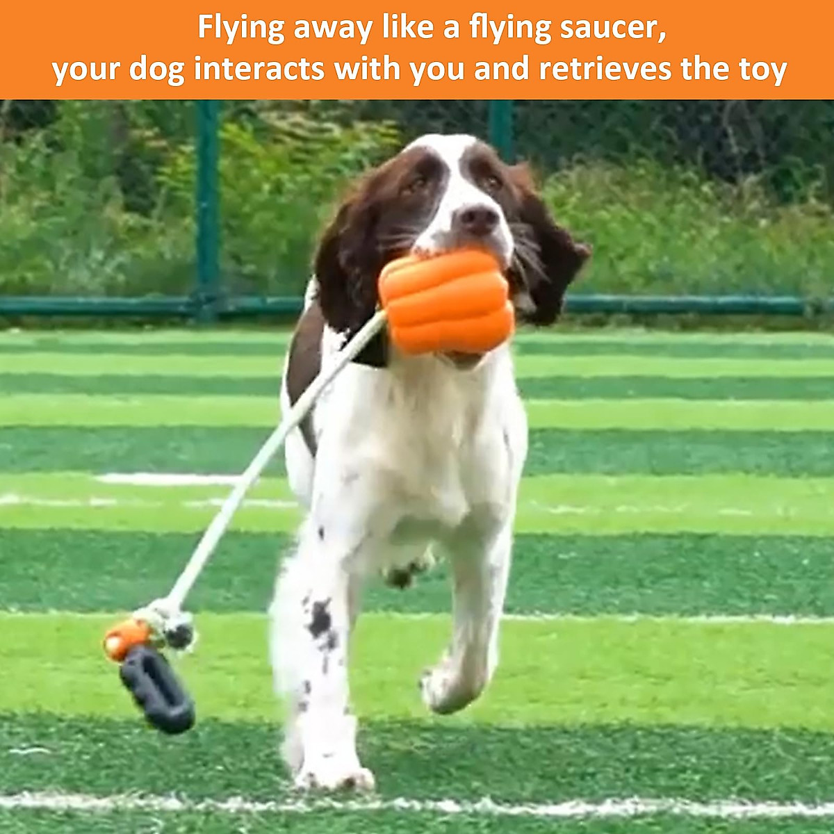 Vayugo Dog Chew Toys with Rope for Aggressive Chewers, Puppy Teeth Chew Pumpkin Natural Rubber Toy, Interactive Hand Toss Pumpkin Dog Toy, Indestructible Dog Toy for Small Medium Large Breed