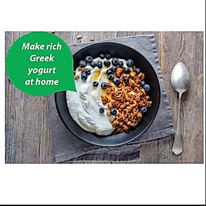 TEMPEHSTATION Greek Yogurt Starter Culture Kit-Culture&hand painted ceramic Handi Lid Dahi/Curd pot|easy to produce large batches 2 gms each sachet|Heirloom|-Strains L. bulgaricus &Streptococcus thermophilus