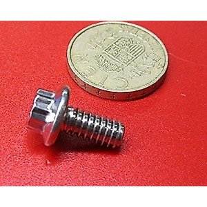 18-8 Stainless Steel 12 Point FT Bolts 1/4"-20 Thread x .500 Length 5 pcs