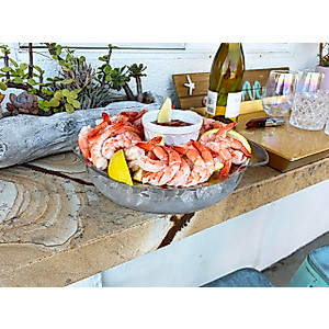 PRODYNE ICED Platter IC-10