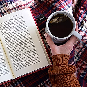 Stash Tea Double Spice Chai Black Tea, Box of 100 Tea Bags (Packaging May Vary)