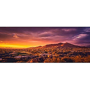 AWERT 36x18 inches Sun and Desert Terrarium Background Mountain Oasis Gobi Reptile Habitat Background Polyester Fish Tank Background