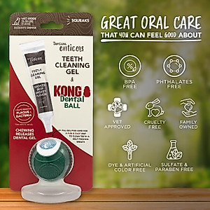 TropiClean Enticers Kong Dental Ball Kit for Medium Dogs | Teeth Cleaning Gel | Smoked Beef Brisket Flavor | 1 oz.