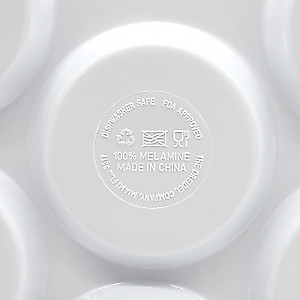 The Dreidel Company Passover Seder Plate Melamine Seder Plate Spring Garden Design, Traditional Kaarah For Pesach 12" (Single)