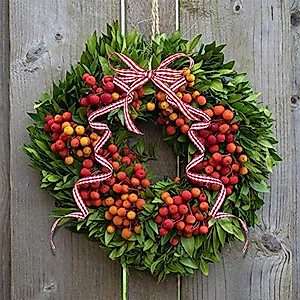 Red Gingham Ribbon, 3/8" x 50Yd Red and White Thin Crafts Ribbon Buffalo Checker Ribbons for Hair Accessories Picnic School and Christmas Gift Wrapping