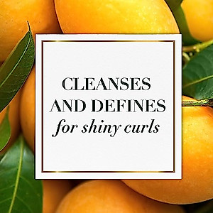 Herbal Essences Bio: Renew Mango + Potent Aloe Sulfate Free Shampoo for Curly Hair 13.5 Fl oz