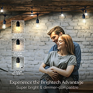 Brightech Ambience Pro - Waterproof LED Outdoor String Lights - Hanging, Dimmable 2W Vintage Edison Bulbs - 48 Ft Commercial Grade Patio Lights Create Cafe Ambience In Your Backyard