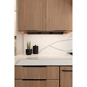 TR Series Angle Power Strip, 30 inch, 2 Dual Receptacles, Satin Nickel