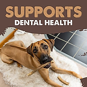 Mighty Paw Elk Antlers for Dogs | Medium Size 6" Premium Deer Antlers for Dogs, Pets and Puppies. Long Lasting Deer Antler Dog Chew for Aggressive Chewers. Dog Antler Chews for Large and XL Dog