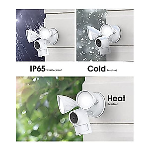 FOSCAM 2.4G/5GHz WiFi Floodlight Camera with Siren Alarm, 2K/4MP Outdoor IP Security Camera, 2-Way Audio, IP65, AI Detection, 2600lm Brightness (Existing Outdoor Wiring & Junction Box Required), FLC