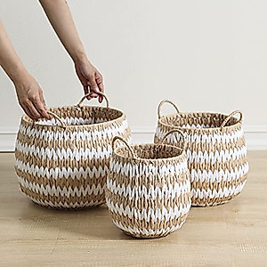 Motifeur Water Hyacinth and Paper Handwoven Basket (Assorted Set of 3, Beige and White)
