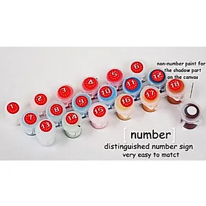 Colour Talk DIY Oil Painting, Paint by Number Kits for Kids - Petal Girl 20X30cm.