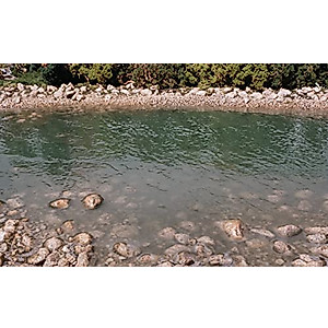 Woodland Scenics Ripples Surface Water