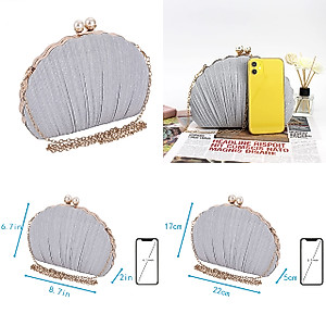 Felice Ann Women Mini Seashell Evening Bag Clutch Handbag Chain Strap Cross-body Shoulder Bag, Pleated Silver