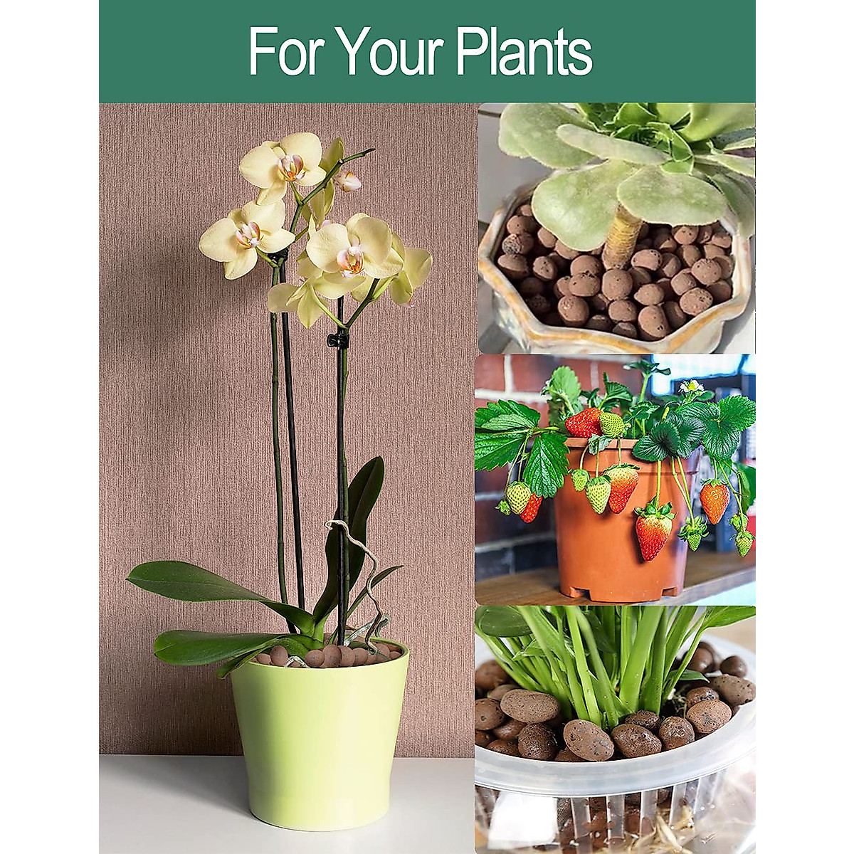 4qt Hydroponic Clay Pebbles, 8mm-12mm, Toypopor Natural Organic Expanded Grow Media for Hydroponics, Drainage, Decoration, Aquaponics and Other Gardening Essentials