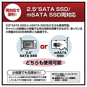 センチュリー Century SSD Interface Card (CF-HBC25MS SSD de Faster via OS