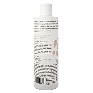 Purezero Coconut Milk Moisturizing Shampoo - 12 Fl Ounce - Intense Hydration & Increase Shine - Fight Dandruff & Frizz - Zero Sulfates, Parabens, Dyes - 100% Vegan & Cruelty Free