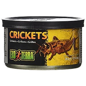 Exo Terra Specialty Reptile Food, Canned Crickets for Reptiles, PT1960