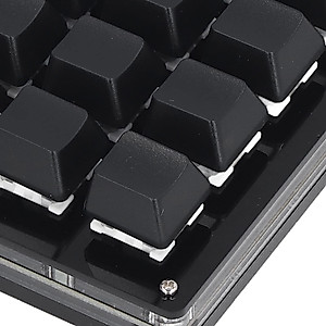 ASHATA Mechanical Gaming Keypad, 12 Keys 2 Knobs Small DIY Programming Keypad Keyboard, Gaming Keyboard with USB Cable for Office Game Music Media