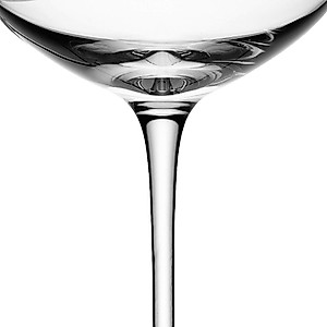 LSA International Wine Balloon Glass (4 Pack), 19.3 fl. oz., Clear