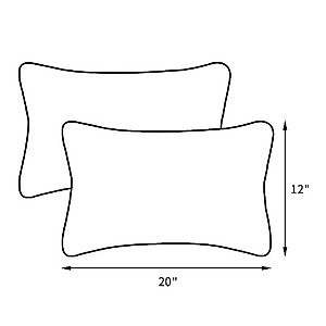 Pcinfuns Outdoor/Indoor Decorative Lumbar Pillows with Insert,Petal Blue Throw Pillow Covers 20x12 Inch Cushions for Patio Furniture,Set of 2