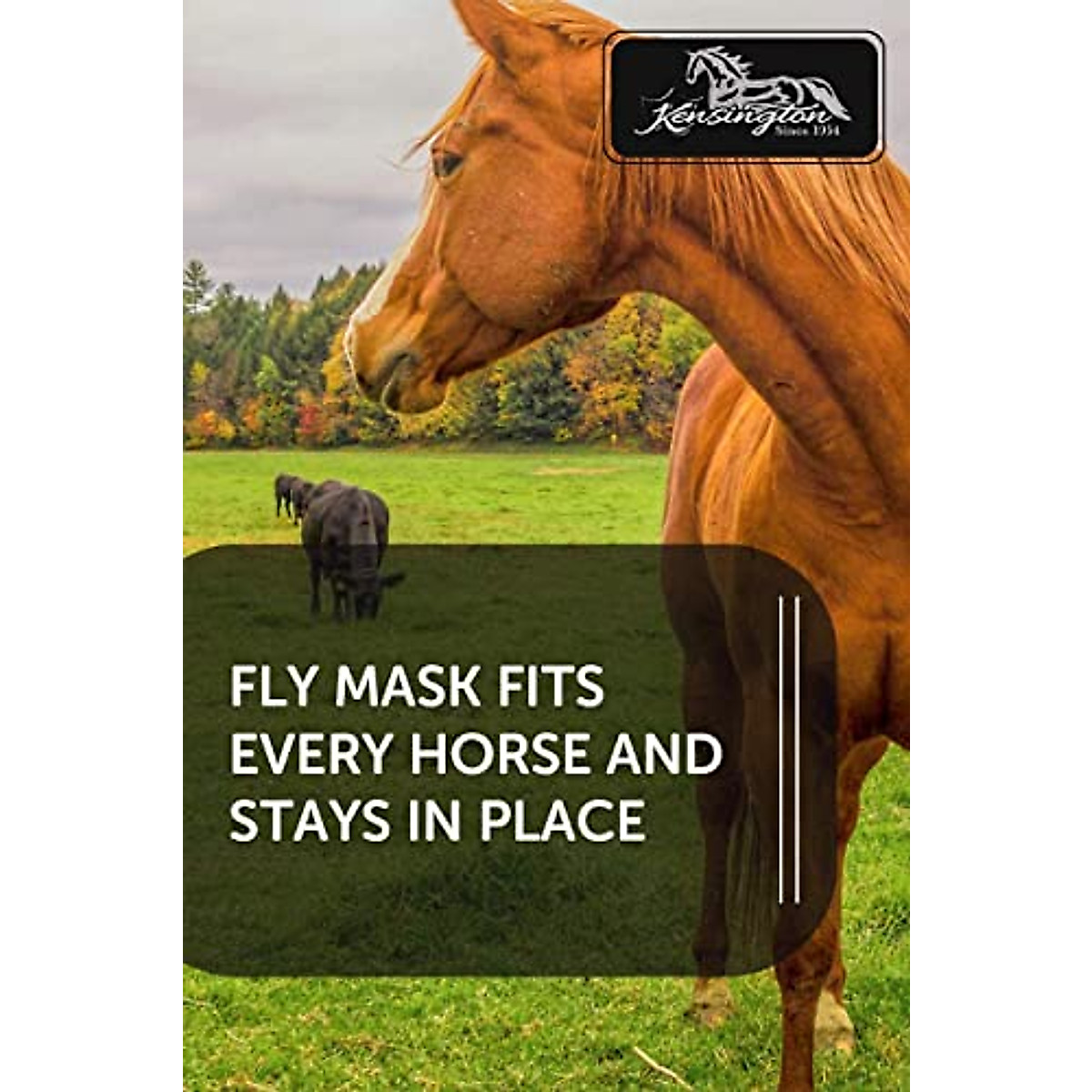 Kensington Horse Fly Mask with Protective Mesh and Plush Fleece Ears- Protection from Bites and Perfect for Wound Recovery, Pony, Lavender Mint