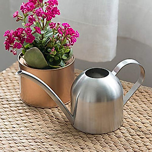 YISSN Small Watering Can for Indoor Office Stainless Steel Long Spout, 15oz/450ml