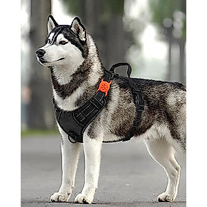 Joytale 2 Pack Airtag Dog Collar Holder, Elastic Silicone Air Tag Holder for Dogs and Cats, Light and Durable Apple Airtag Holder with Slide-On Loop(Hot Pink/Orange)