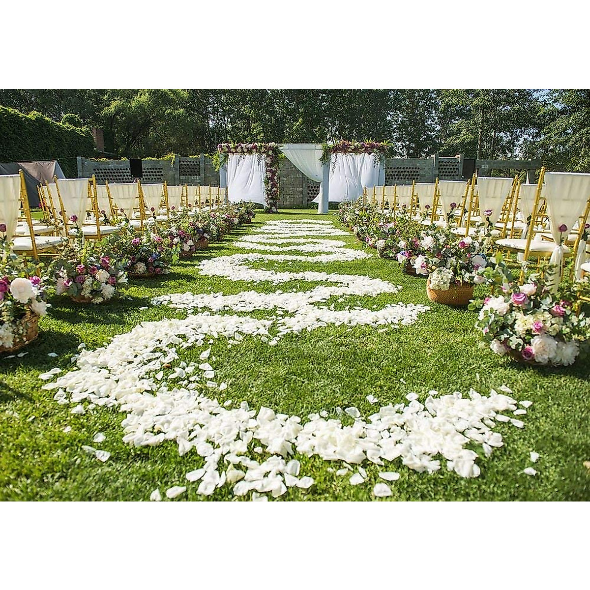 CATTREE Artificial Rose Petals 2000 Pcs, Fake Petal, Wedding Aisle Decor Ceremony Party Valentine Day Romantic Event Birthday, Home Garden Outdoor Indoor DIY Decoration Wholesale - Gradient Pink Red