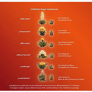 Creano Flowering Tea Gift Set - White Tea – 6 Blooming Tea with 17oz Glass Teapot