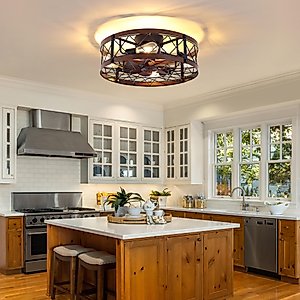 REDSTAR Retro Small Ceiling Fan with Light Remote Control, Ceiling Fans with Lights Flush-Mount, Low-Profile Ceiling Fan with Light, Caged Ceiling Fan with Light (Black)