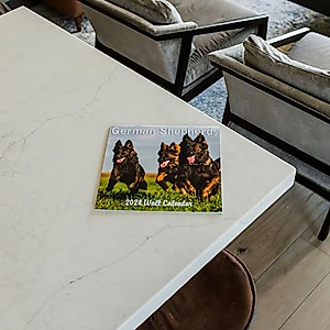 DOGS Monthly Wall Calendar | 12" x 24" | Thick Sturdy Paper | Dog Calendar 2024-2025 (Shepherds)