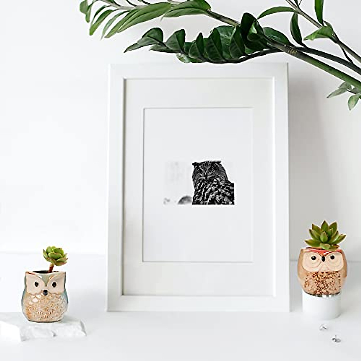 T4U 2.5 Inch Owl Ceramic Succulent Planter Pots with Drainage Hole Set of 12, Flowing Glaze Porcelain Handicraft Plant Holder Container Gift for Mom Sister Aunt Best for Home Office Garden Decoration
