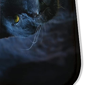 XYHH Area Rug Black Panther for Living Room Dining Room Bedroom playroom Parent-Child Game mat Study Office Room Decor lz White 3 39x60in