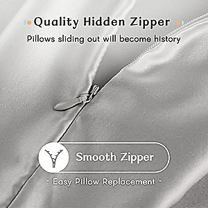 iCooBreeze 100% Pure Silk Toddler Pillowcases,Mulberry Silk Double Sided Pillow Case with Hidden Zipper,Organic Pillow Covers for Baby Kid Toddler Boys Girls, Toddler (13"X18") 1 Pack, Silver Grey