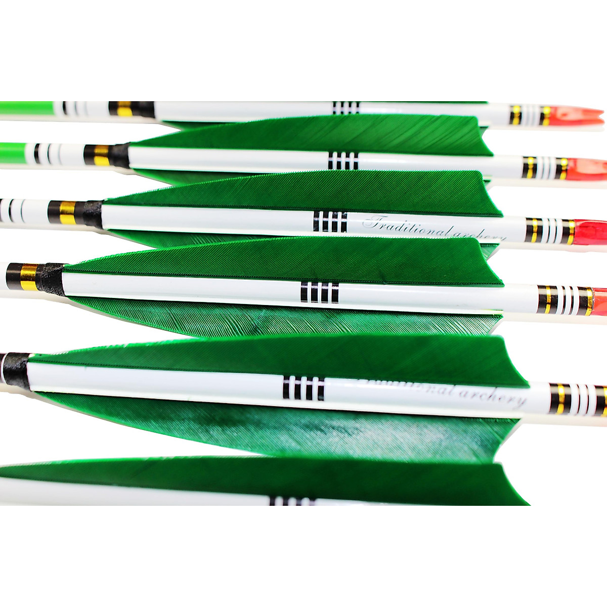 TTFLY FLETCHING 31 inch Carbon Arrows Green Turkey Feather Targeting Arrows Archery with Screw-in Field Tips Hunting&Practice(12 Pack)