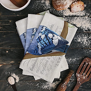 BEKYONEE Kitchen Dish Towels,3 Pack Vintage Blue Jay Birds Boho Flower and Branch Hand Towel Absorbent Dish Cloth Microfiber Terry Cloths Tea Towel for Dishes Counter/Bar Retro Letters Kraft Paper