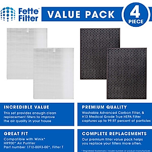 Fette Filter - HR900 Premium H13 True Hepa Filter Set Compatible with Winix Filter T for HR900 Ultimate Pet Air Purifier Part number 1712-0093-00 (Pack of 2)