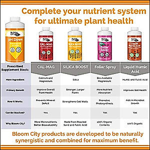 Bloom City Professional pH Down Liquid Fertilizer, Quart (32 oz)