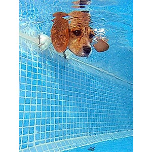 Under Water Digital Camera for Still Shots or Video Take Great Photos in The Pool, Ocean, Lake, or Fishing Boat. Quality Pictures!