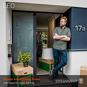 SYLVANIA LED Flood R20 Light Bulb, 50W=5W, 10 Year, 325 Lumens, E26 Medium Base, Dimmable, 2700K, Soft White - 2 Pack (73993)