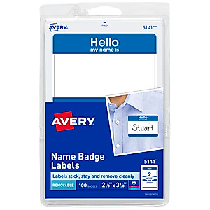 Avery Hello My Name Is Name Tags, White with Blue Border, 100 Removable Name Badges (05141)