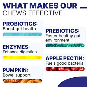 Dog Digestive Support Probiotic Chews - Enzymes, Probiotics, Prebiotics, and Pumpkin for Dogs - Improve Stool Quality and Consistency - Relief from Gas, Constipation, Diarrhea 99ct