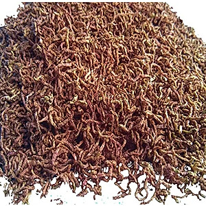 2oz Bloodworms, Freeze Dried Fresh Grade A Floating Bloodworms for All Tropical Fish, Bettas, Discus, Cichlids, Community 0.125 Pound (Pack of 1)