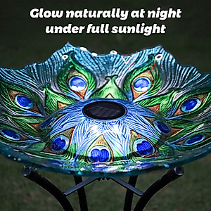 MUMTOP Solar Panels for Bird Bath, 6 Led Solar Power Light Automatically Glow at Night, Waterproof Suitable for Birdbath Outdoor, Yard, Garden Decoration