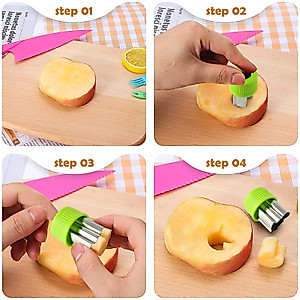 quirzx Dinosaur Sandwich Cutters for Kids, Animal Shapes Mini Vegetable Fruit Cookie Cutters Mold and Food Pick Set for Lunchbox Bento Box - 13 Pcs