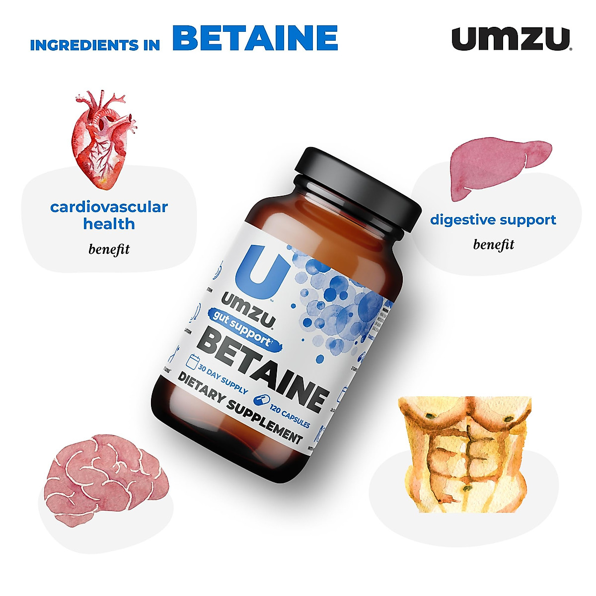 UMZU Betaine HCl Supplement | Digestive Support, Gastric Comfort, Nutrient Absorption & Cardiovascular Support | Natural Digestion & Gut Health Aid (120 Capsules)