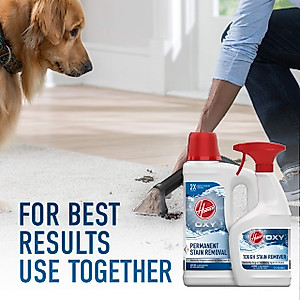 Hoover Oxy Spot and Stain Remover, 22oz Pretreat Spray Formula for Carpet and Upholstery, AH30902, White, Packaging May Vary